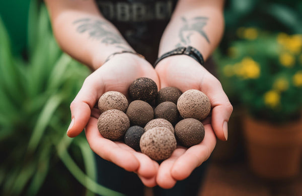 The Benefits of Using Seedballs for Gardening - Seedles