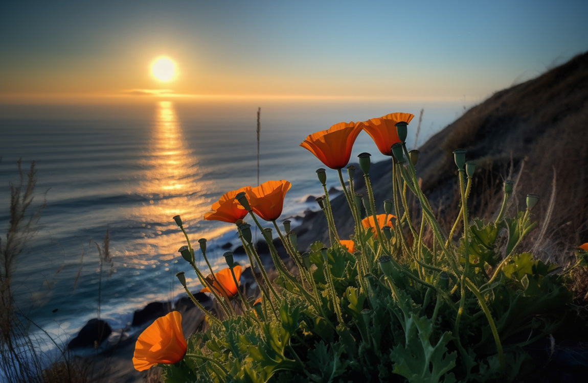 California's Floral Crown: The Science and Splendor of the Poppy Wildf ...